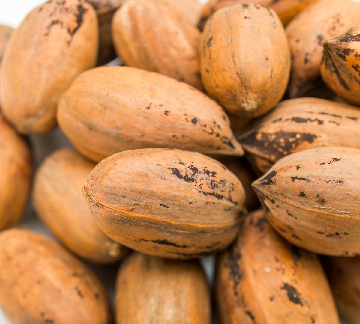 Easy Oven Roasted Pecans Recipe - Southern Home Express