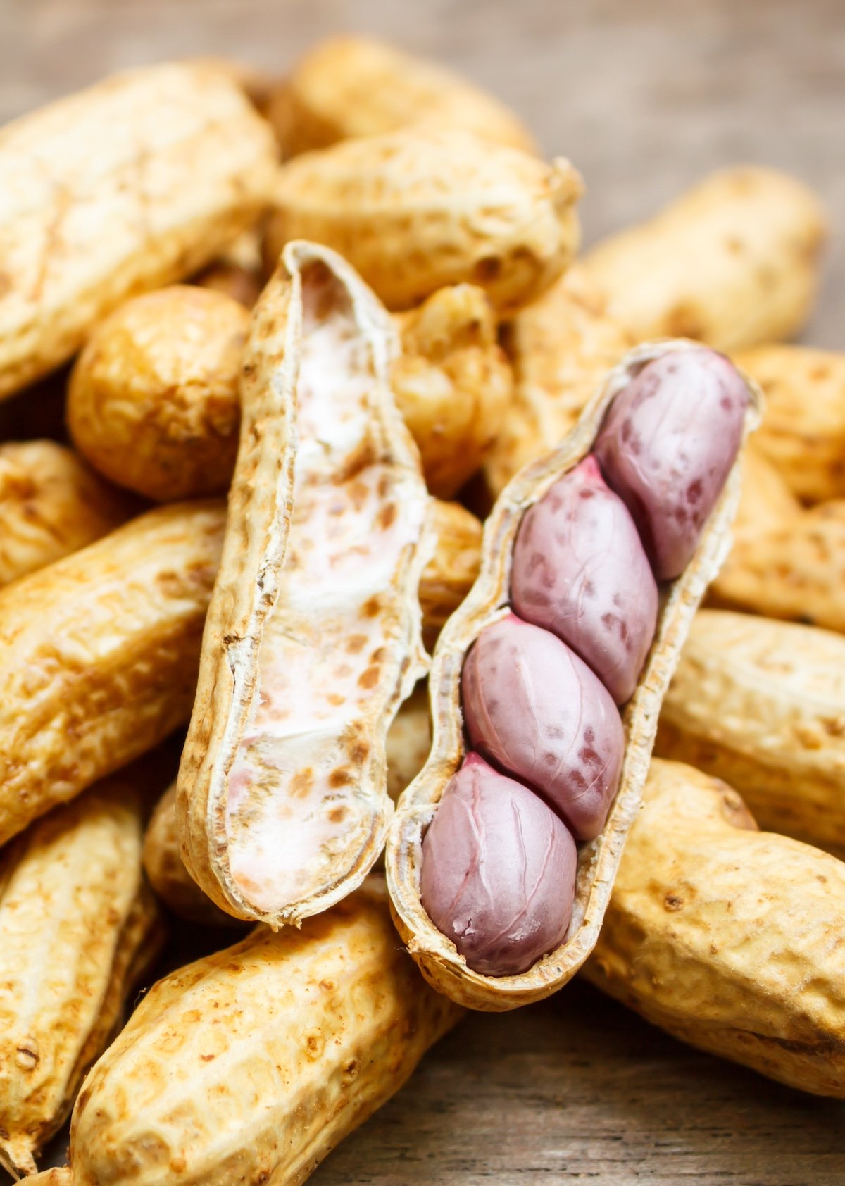 How to Freeze Boiled Peanuts (with Boiled Peanut Recipe) - Southern Home Express